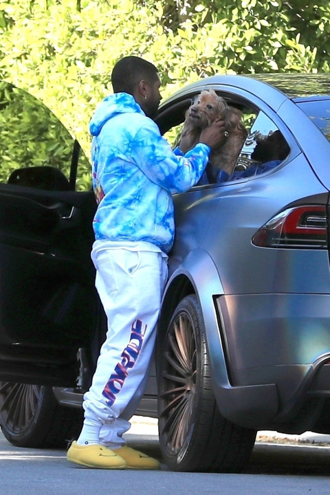 *EXCLUSIVE* Usher shows his dog some Love – Sandra Rose
