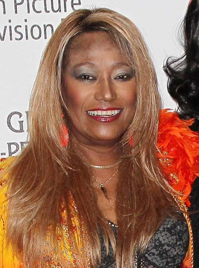 Bonnie Pointer attends an intimate cocktail celebration hosted by Brett ...