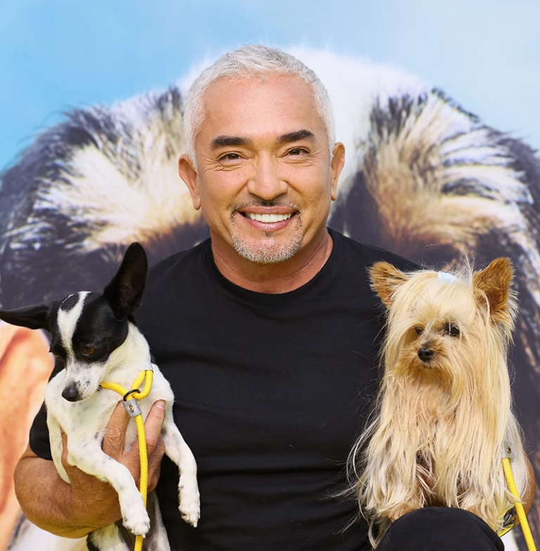 LOS ANGELES, CA – JULY 30: Cesar Millan attends the UltiMutt Los ...